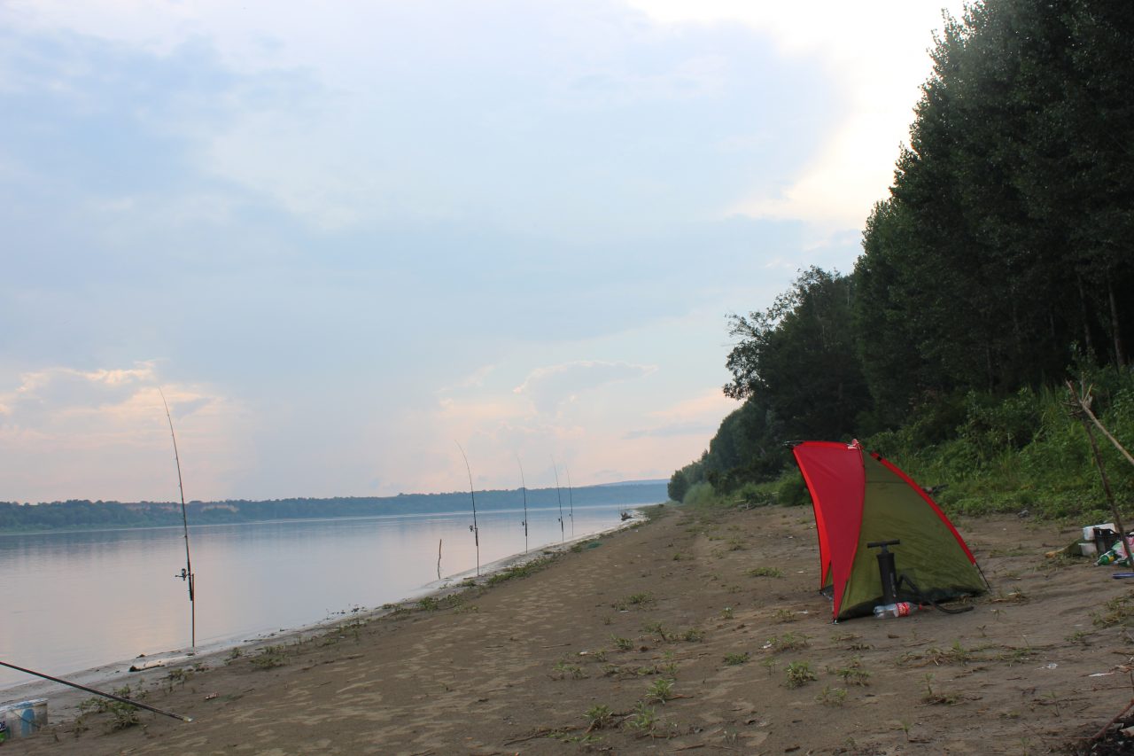 Importanta cotelor Dunarii si a temperaturii apei info 2019 iunie la ...